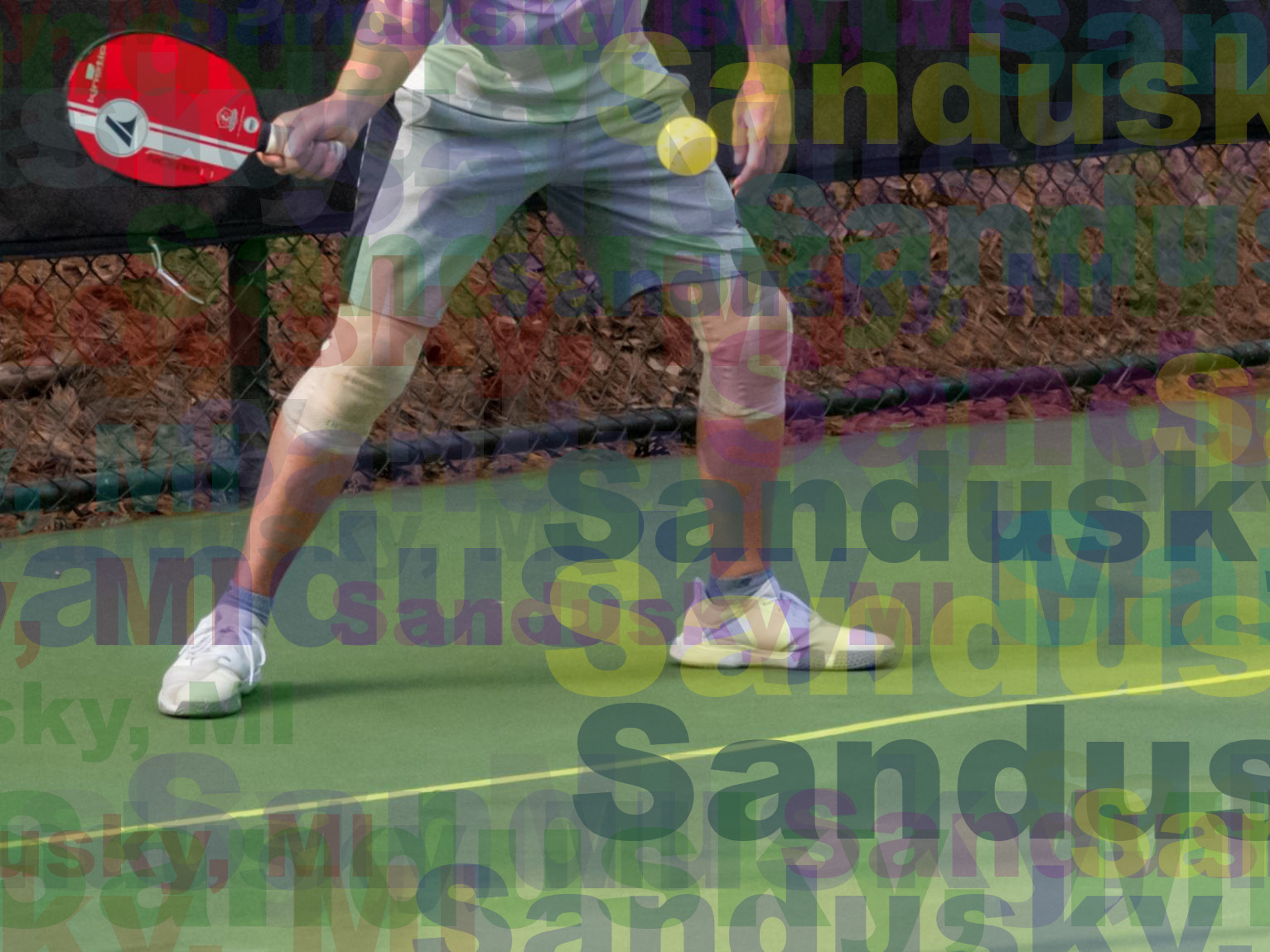 Pickleball in Sandusky Michigan | SanduskyPickleball.com